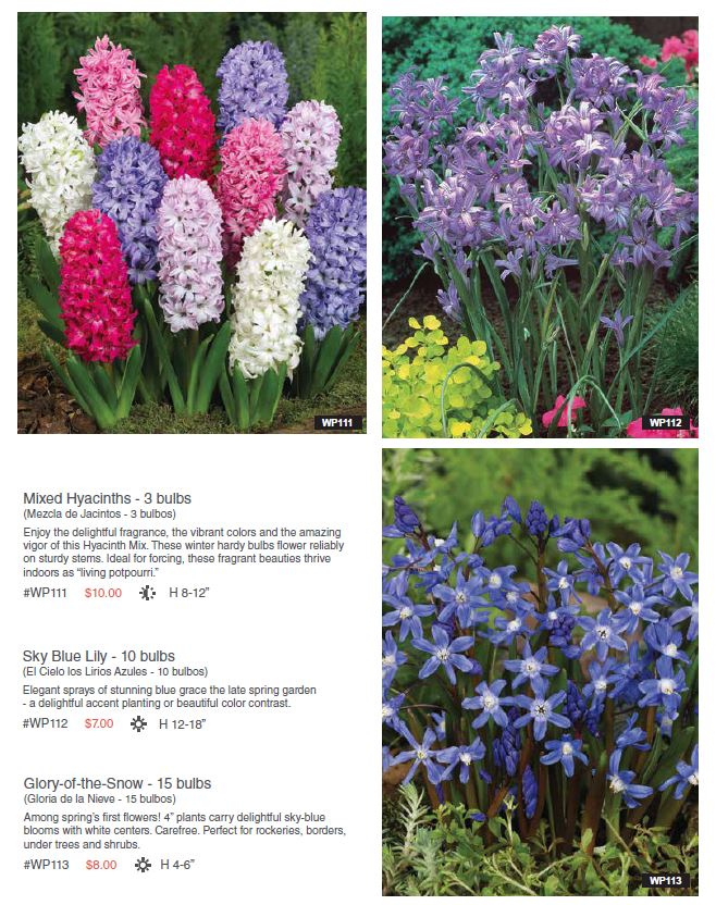 Home [bulbsforchange.com]